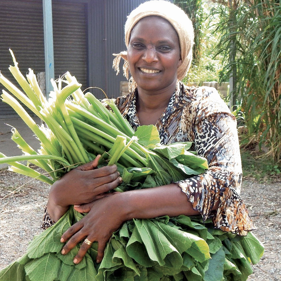 About our subscriptions – Green Connect