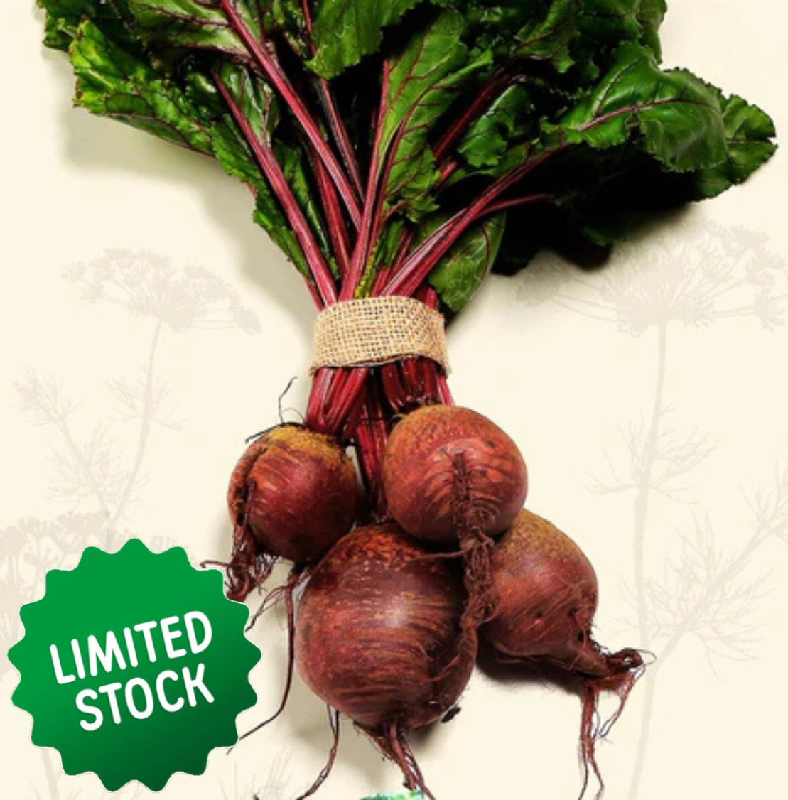 Beetroot (bunch) - Green Connect Farm