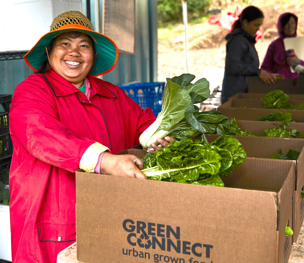 What's in your box – Green Connect